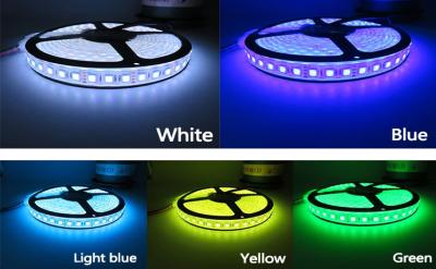 Cina Outside Waterproof 12V LED RGB Strip Light Smd5050 Color Changing in vendita