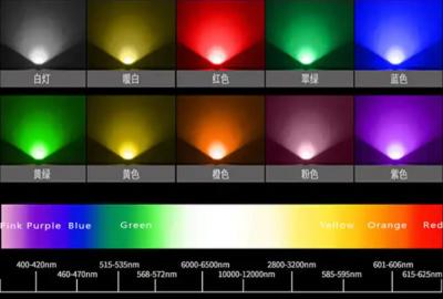Cina Outside Waterproof 12V LED RGB Strip Light Smd5050 Color Changing in vendita