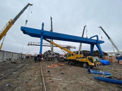 Cina Cavalletto all'aperto Crane For Metallurgical Plant della trave del doppio IP55 A5 in vendita