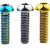 China ISO7380 Hexagon / Torx Socket Button Head Screw Titanium Rotor Bolt Kit for sale