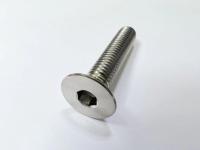 China Titanium M6*30mm Hexagon Socket Countersunk Head Screw for sale