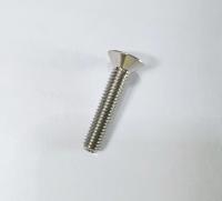 China Titanium M6*30mm Hexagon Socket Countersunk Head Screw for sale
