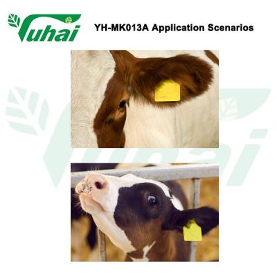 Cina Stampa laser Numero di serie Materiale TPU Tag orecchio animale Tag orecchio vacca capra in vendita
