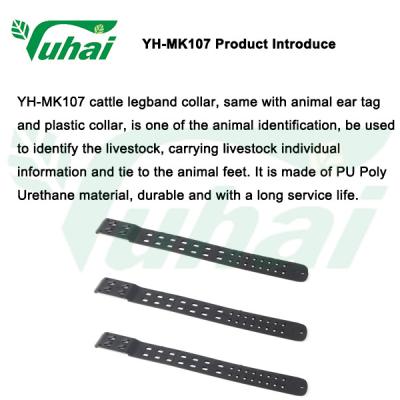 Cina Tag di identificazione del bestiame nero Fascia per caviglia 35x4cm Leggero Cattara Leg Band Foot Set in vendita