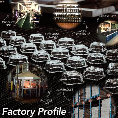 China Modern and Stylish Teal Color Glass Container Made of High Borosilicate Glass Oven Safe and Microwave Safe for sale