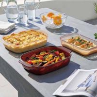 Quality IKOO Private Label Translucent Colored Borosilicate Glass Baking Pan for sale