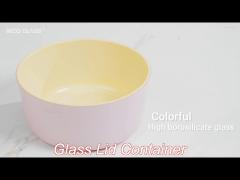 Colorful Non Stick Coating Glass Food Storage With Glass Lids Glass Fruit Storage Containers
