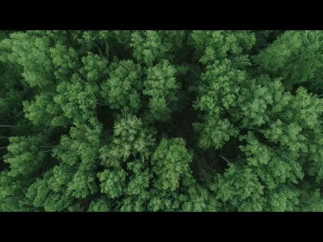 IKOO GLASS BRAND INTRODUCTION