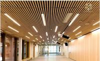 Quality Aluminium Ceiling for sale