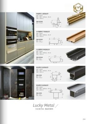 China 6063 Aluminum Alloy Anodizing Finish Wardrobe Door Frame Aluminum Profile for sale