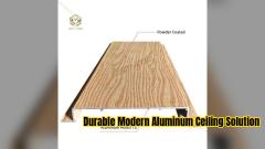 Premium Aluminum U Baffle Ceiling Durable Wall Cladding