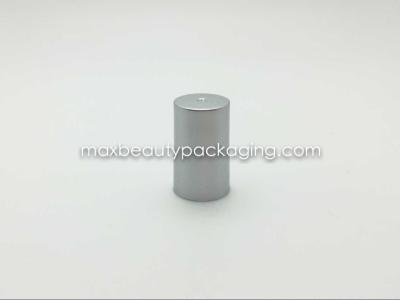 China N1003 nail polish cap nail polish packaging plastic cap UV silver coating finish plastic cap and flat brush for sale