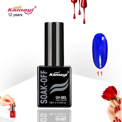 Cina Etichetta privata 12ml di alta lucentezza duratura inzupparsi fuori dallo starter kit polacco del gel in vendita