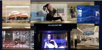 Cina Il LED trasparente di alluminio scherma il centro commerciale di vetro che annuncia la video esposizione in vendita