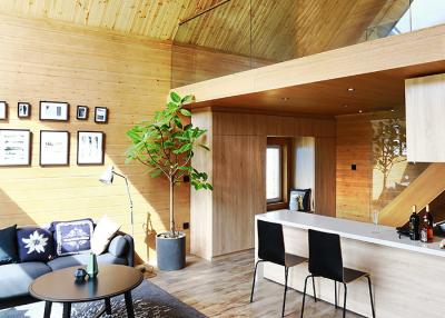 Cina Villa di lusso in stile europeo moderno ISO 9001 con kit casa modulare con struttura in acciaio in vendita