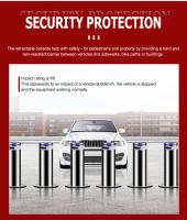 China SEWO-LZ01X Automatic Electric Bollard - 219mm Diameter Hydraulic Security System with K6 Impact Rating and IP68 Protection for sale