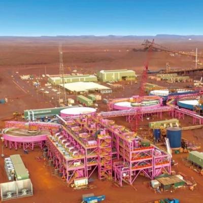 China Zg Thickener Mining Process Machine Peripheral Transmission Mud Scraper for sale