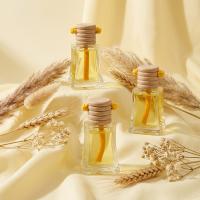 China Anding High Quality Mini 6ml Automatic Diffuser Refill Empty Glass Luxury Car Perfume Hanging Diffuser Bottle for sale
