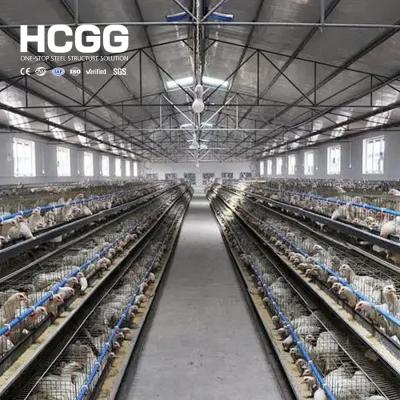 China Q355B Q235B Steel Structure Poultry House Seismic Resistance Agricultural Buildings for sale