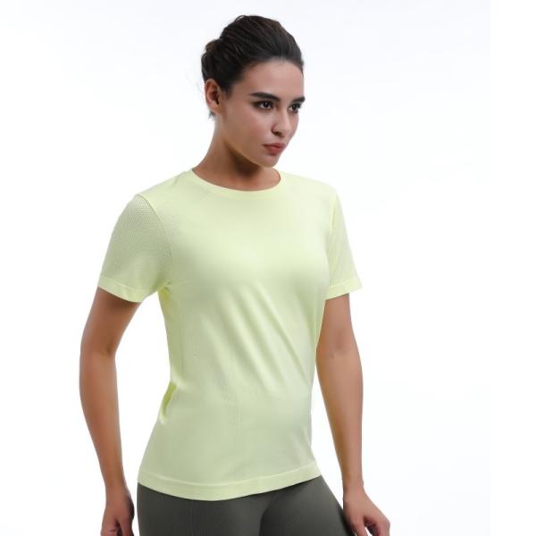Quality Mesh Panel Compression Short Sleeve Shirts Regular Fit Breathable for sale