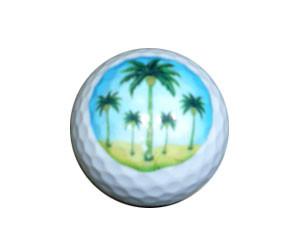 range golf ball/ two piece golf ball/2PC Golf practice ball/golf ball