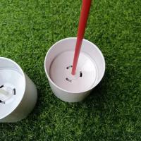 China Plastic Golf Cup Set with Flag Shaft 83cm Height 10.8cm Cup Diameter for sale