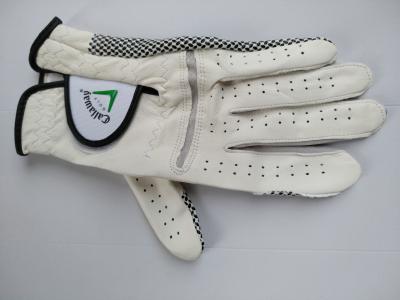 golf glove , golf gloves , glove , gloves