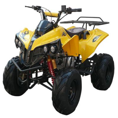China 110CC/125CC-- ATV125-3   8inch Wheel, 125CC ATV, Hight Quality ATV, 125CC ATV with CE, Air Cooled ATV for sale