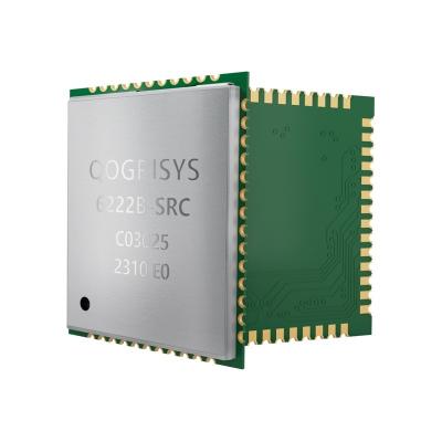 China RTL8822CS Chipset WiFi BT Module 5GHz SDIO 802.11ac For Pico Projector for sale