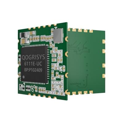 China WIFI5 MODULE WITH USB2.0 802.11ac Dual Band 2.4/5.8GHZ RTL8811CU 6111E-UC Wifi Module for sale