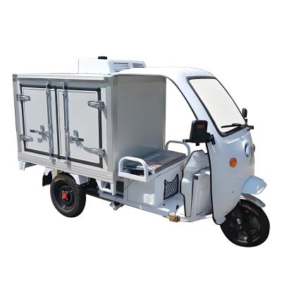 China Refrigerated Cargo E Trike 3 Wheel Electric Delivery Trike Truck PEUGEOT Fitment for sale