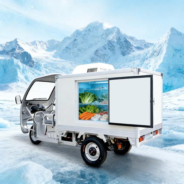 Quality 650W Refrigeration Capacity Electric Delivery Trike with 60V/58AH Battery and Solar Panel Charging for sale