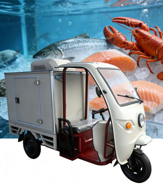 Quality 1000W Motor Electric Cargo Tricycle with 60V/58AH Battery and Polyurethane Insulation for Refrigerated Transport for sale