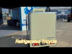 refrigerated cargo e trike 3 wheel electric delivery trike truck peugeot fitment