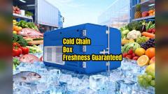 Cold Chain Box IoT Temp Control LED Lights