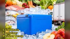 Cold Chain Container: Secure Your Perishables