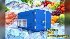 Smart Cold Chain Container -25 To +25 C