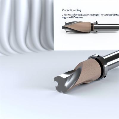 China 2 Flute Wooden Molding Bit For Customized OBM Support And CNC Machines for sale