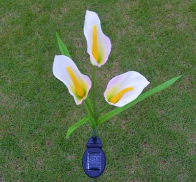 China Solar Flower Lights - Outdoor Waterproof LED Flowers Calla Lily for Garden, Path, Landscape, Patio, and Lawn for sale