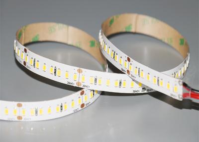 Cina le lampade fluorescenti di 24V 240 Led/M LED riscaldano 3000K bianco 16,4 il Ft 5m IP20 2835 SMD in vendita