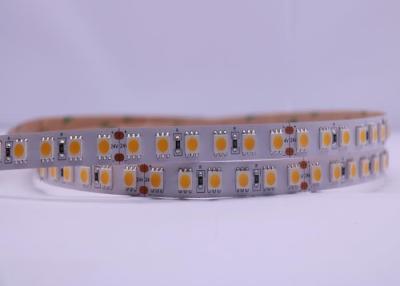 Cina 96 il colore flessibile di Led/M 20W che cambia le luci principali del nastro rotola CRI97 2000LM 5M in vendita