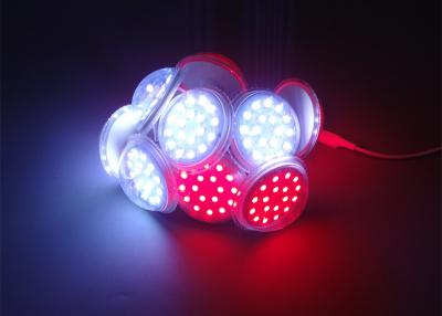 Cina Pixel principale Digital del regolatore 60mm 5050 Rgb di DMX per il parco a tema in vendita