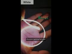 80mm length flexible led noodle light for christmas incandescent filament