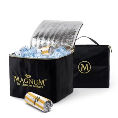 China Custom 6pcs beer cans bottles cooler bag  insulated promotion thermal lunch picnic bag Te koop