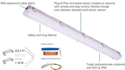 China Industriële LED Tri Proof Light IP66 IK10 2ft/4ft/5ft/8ft 120-277V/120-347V Inlaatspanning Te koop