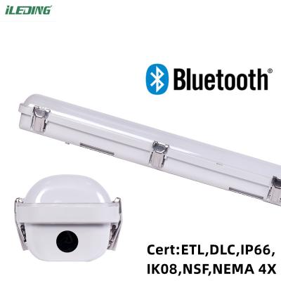 Cina Industriale 60W 4' LED Lineare Tri Proof Light IP67 driver impermeabile 120-277V / 120-347V in vendita