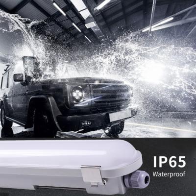 China Instalações industriais de armazenamento a frio IP66 5FT 55W Tri-proof luminárias com sensor à prova de vapor à venda