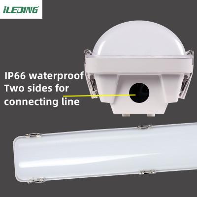 China 4FT Taller Luz triproof con temperatura de color de la luz del día y clasificación de impermeabilización IP66 en venta