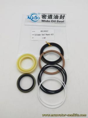 중국 프리미엄 실린더 씰 수리 키트 4614057: 완전한 정밀 검사 솔루션 판매용