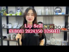 Lip Seal 6V8081 2824350 3290411 Hydraulic Spare Parts Excavator Seal Kit
